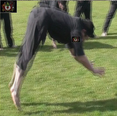 MY JOURNEY: Tenggiling Anak Harimau - The Training Concept.