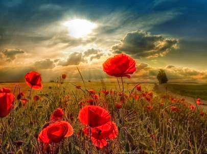 Moi, un jour à la fois