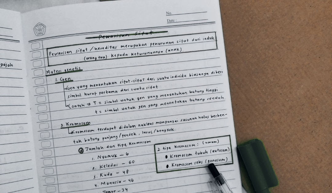 Pretty Studygram Notes