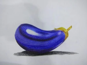 Object Drawing With Colour