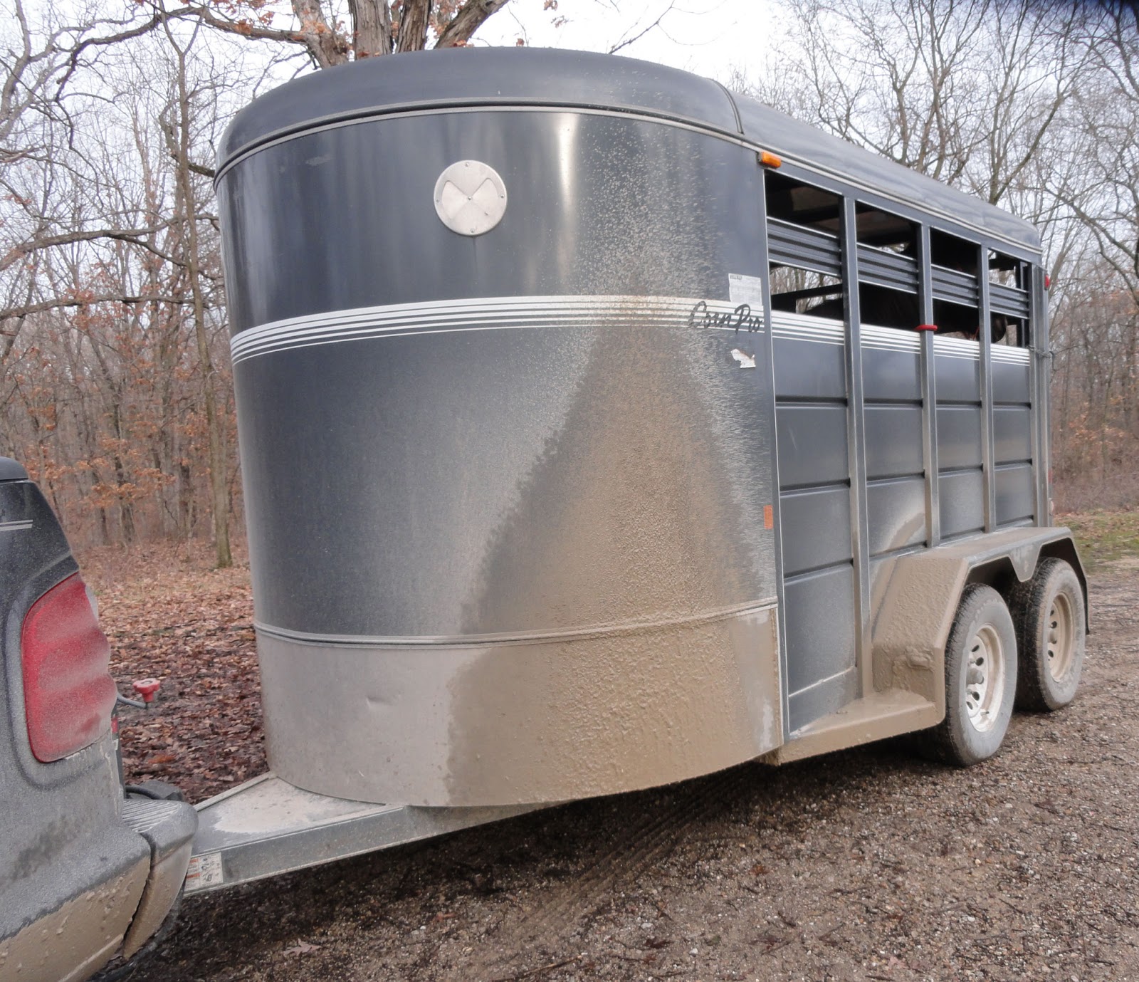 Mustang Dreams....: Sneaking in another ride...