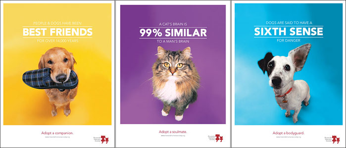 ADPR 1400: Emotional Appeal to Pets