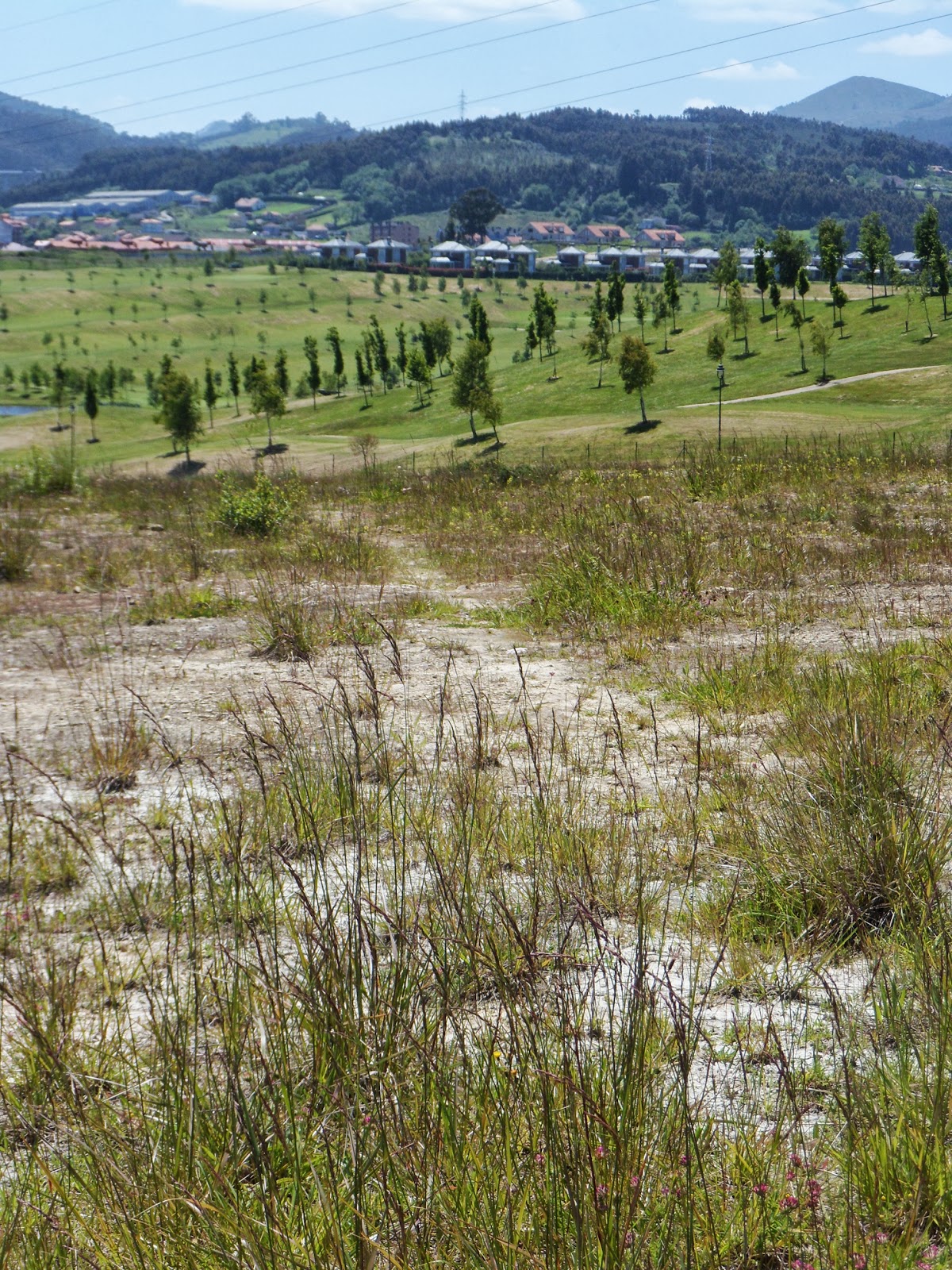 Senda BTT: Apeadero FEVE de Avilés - Embalse de Trasona - Monte'l Pando ...