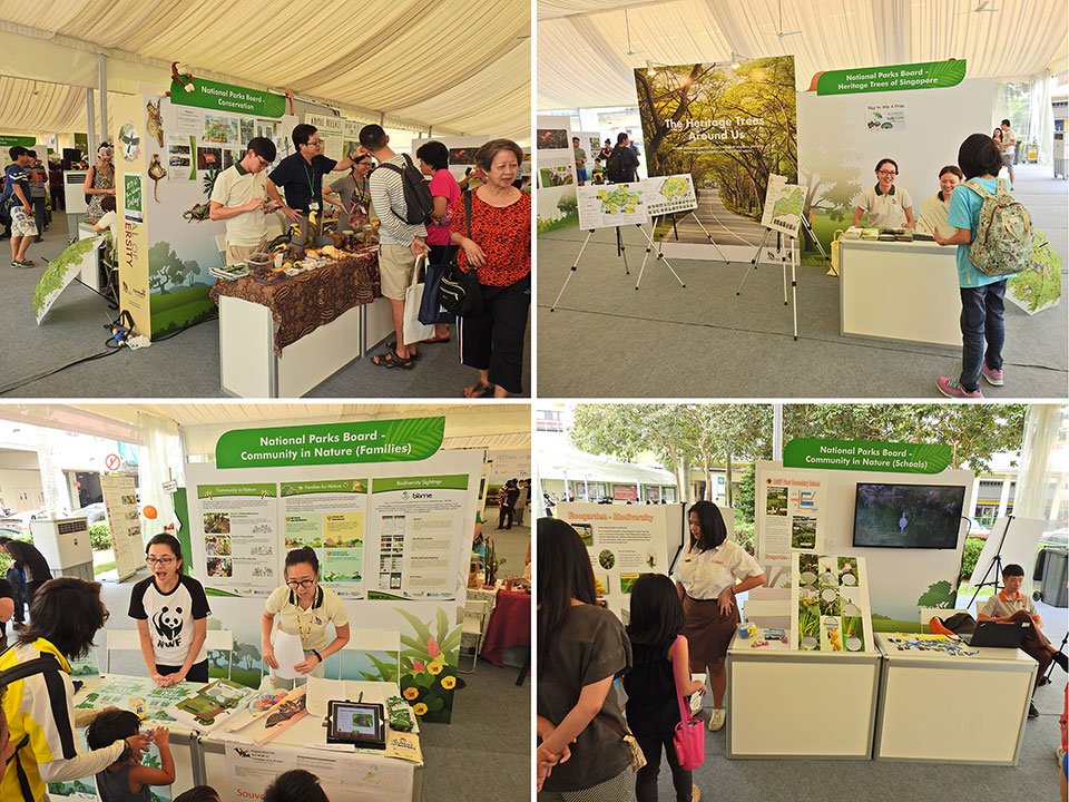 Butterflies of Singapore: Festival of Biodiversity 2018!