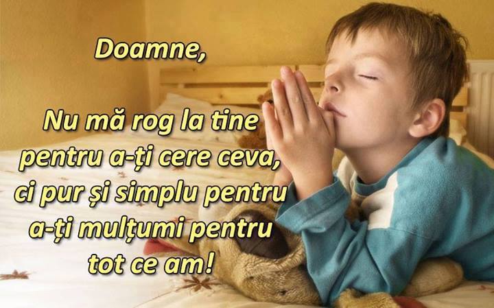 CĂSUŢA SUFLETULUI: REGULILE FERICIRII