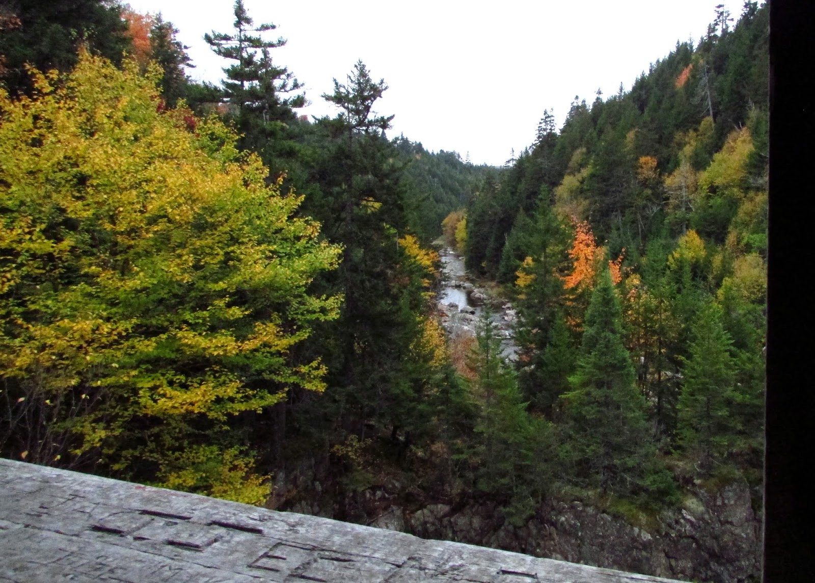 New Brunswick's Covered Bridges: Forty Five River No.1