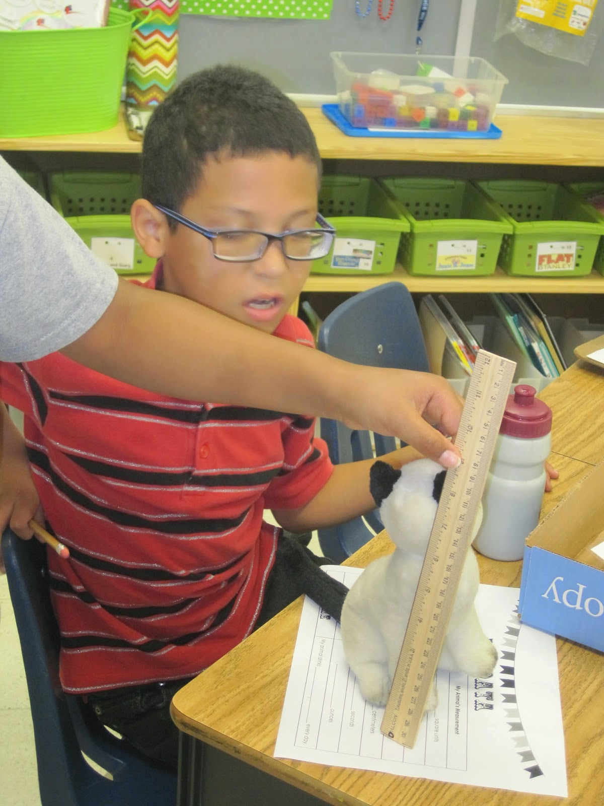 Flamingo Fabulous: Measurement Fair!