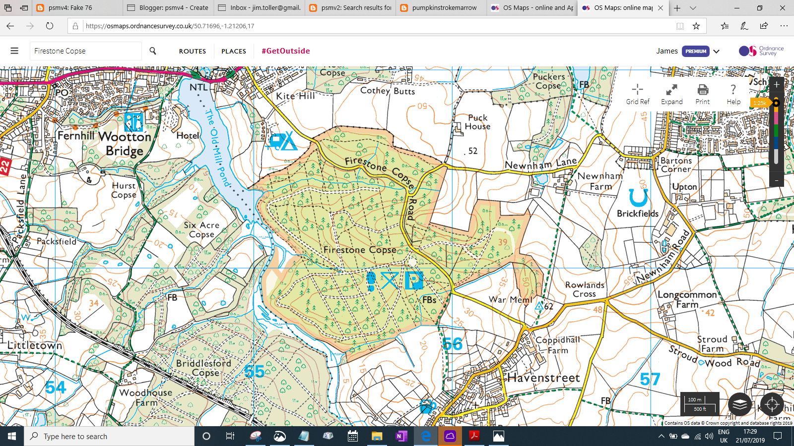 psmv4: Epsom to Firestone Copse to Brading