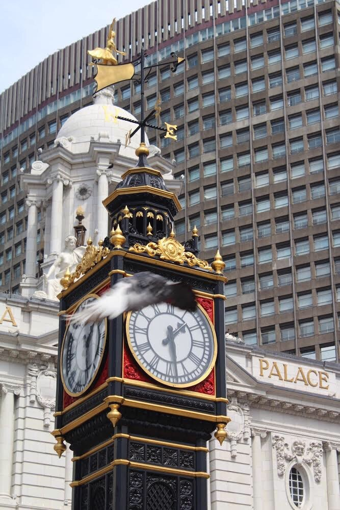 The Rebel Magazine: Introducing Robert Raynard