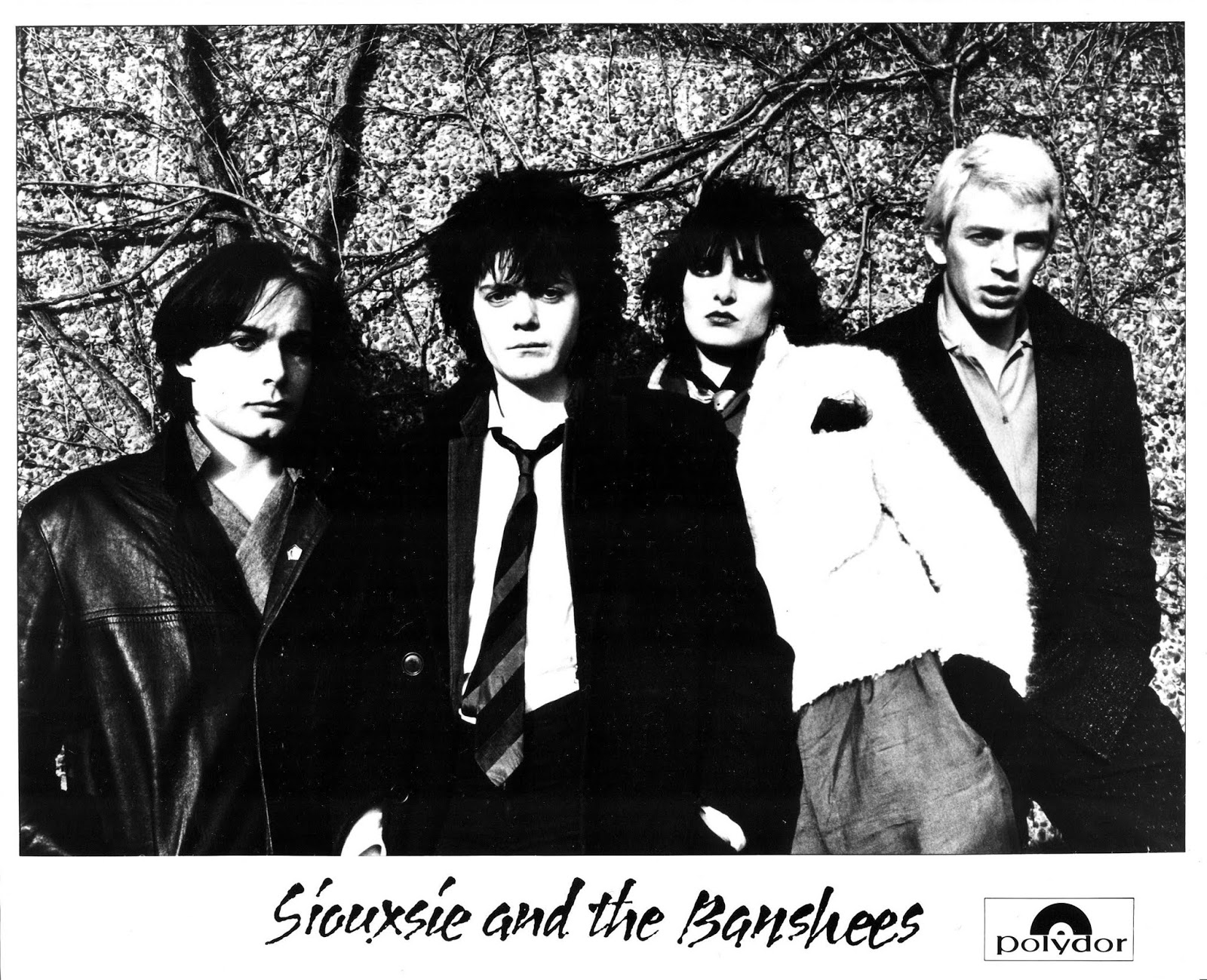 Lansure's Music Paraphernalia: SIOUXSIE & THE BANSHEES | THE CREATURES ...