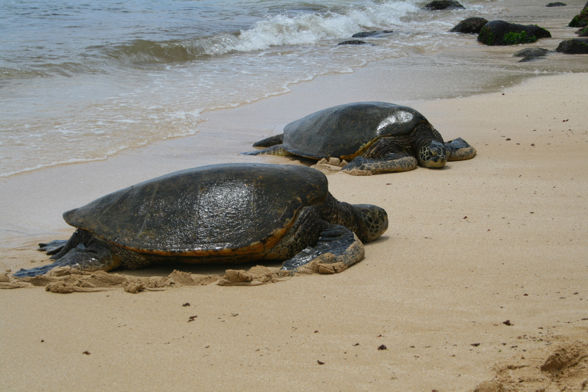 Earthly Musings - My Travel and Geology Blog: A Trip Around the Island ...