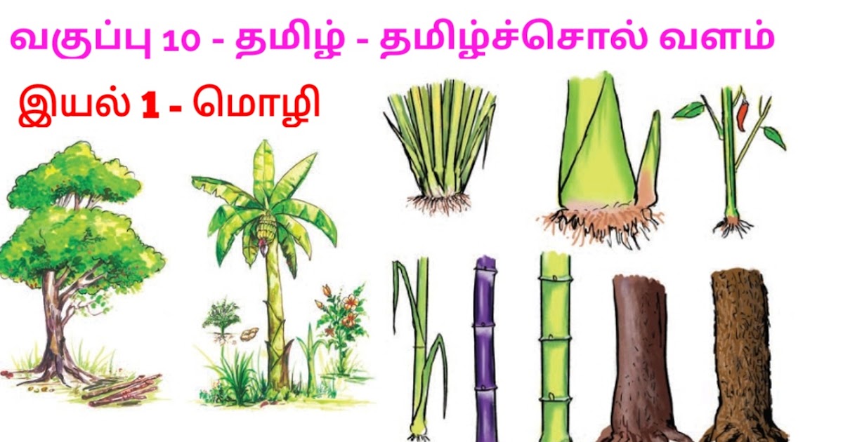 Medicare 2023 at BMICH - Adadaa.news