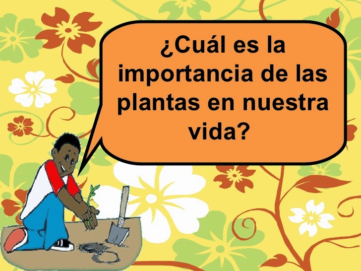 La Vida es bella: La importancia de las plantas