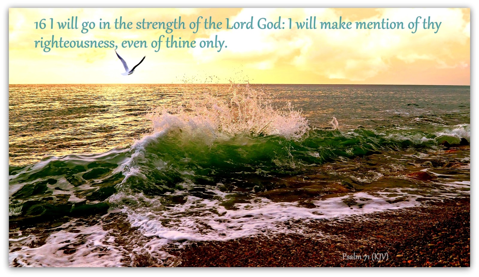 Red Pill Diaries Psalm 71 KJV 