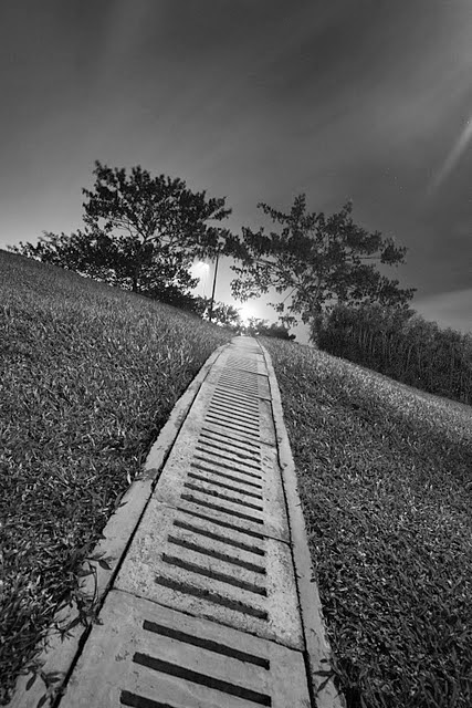 Camille's Photography Blog : Elements and Principles of Photograghy