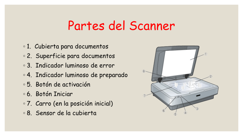 Actividades grado segundo: Actividades Semana 7 Evaluativa IIIP Grado 2°