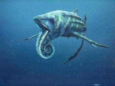 fenomena: Helicoprion