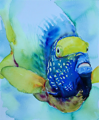 David Lobenberg: GOT FISH?