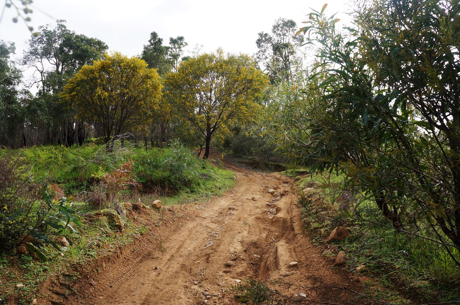 Wungong Gorge Walk GPS Route (Wungong Regional Park) ~ The Long Way's ...