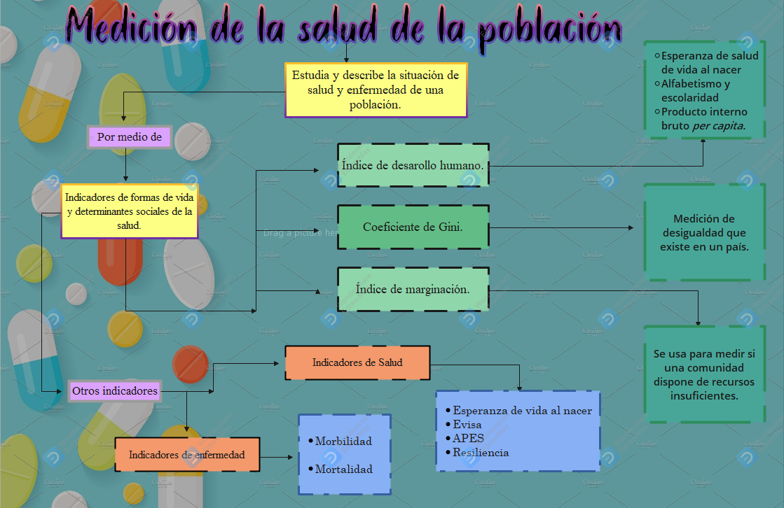 Medición de la salud de la población - Contextualización de la Salud ...