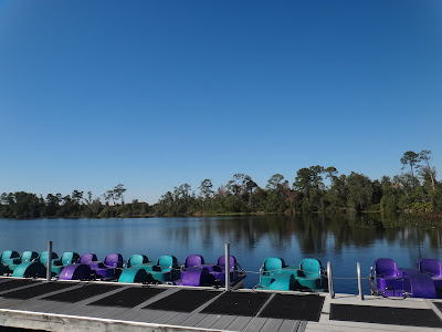 Disney World CP 2013: Mickeys Retreat!