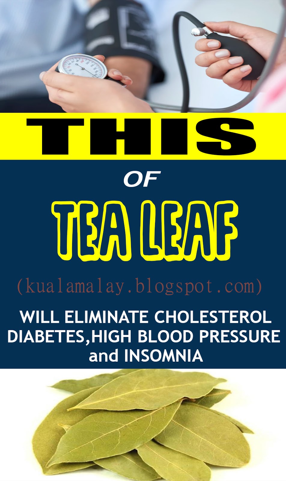 This Plant Treats Diabetes High Blood Pressure Cholesterol And Insomnia This Plant Treats Diabetes High Blood Pressure Cholesterol And Insomnia