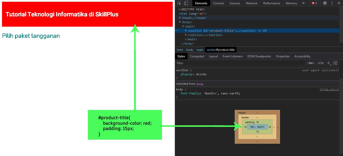 Pengenalan Box Model – SkillPlus