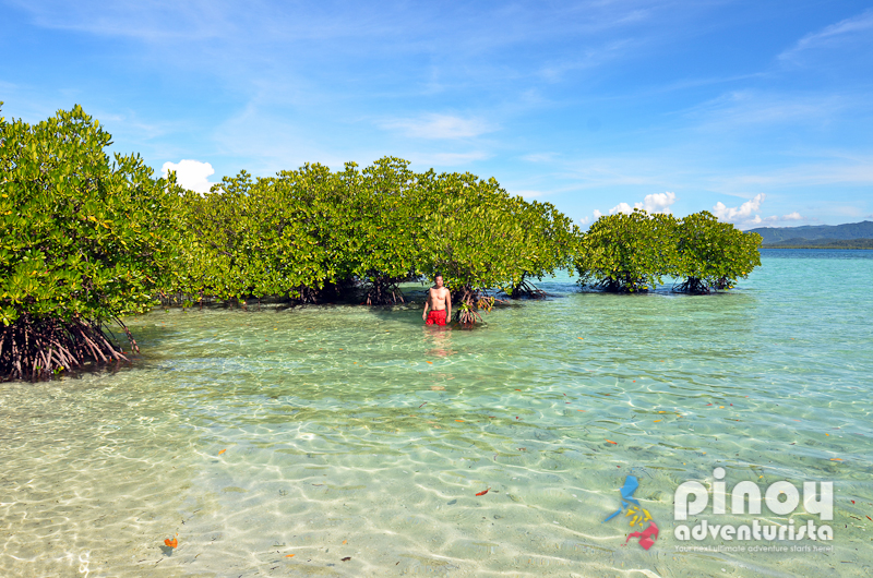 MASBATE CITY TOURIST SPOTS: Buntod Reef Marine Sanctuary and Sandbar ...