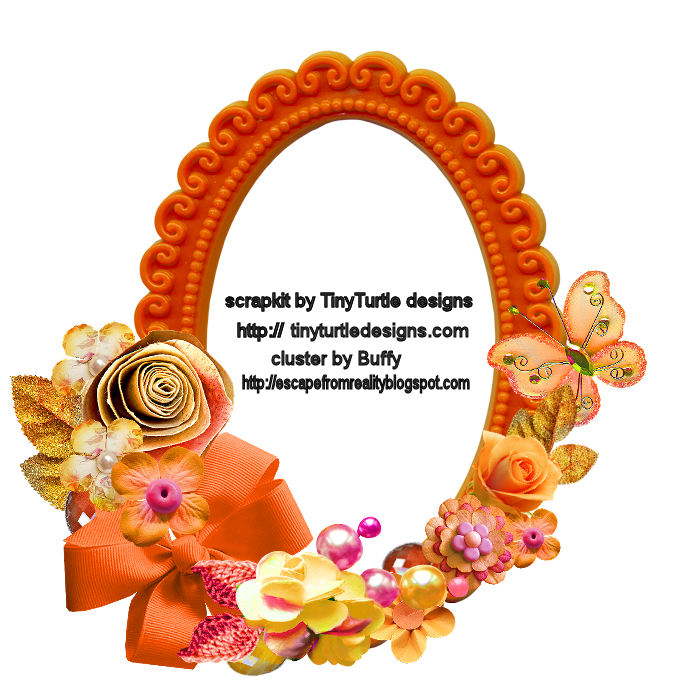 Escape From Reality Blog: Amber Lights Cluster Frames