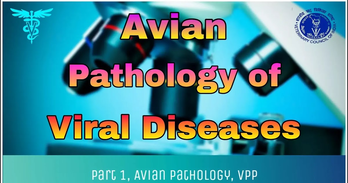 Avian Pathology of Viral Diseases.
