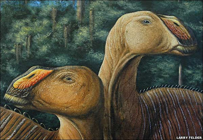 Species New to Science: [Paleontology • 2007] Gryposaurus monumentensis ...