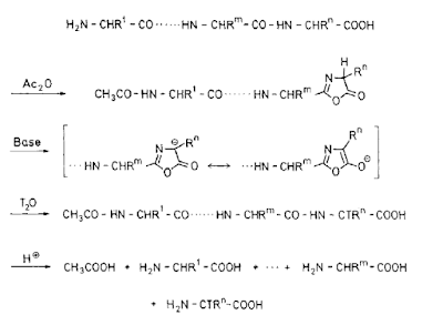 Aminoácidos, péptidos, proteínas