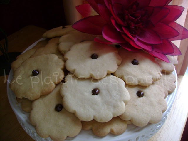 Le plaisir des papilles: Biscuits frigidaire