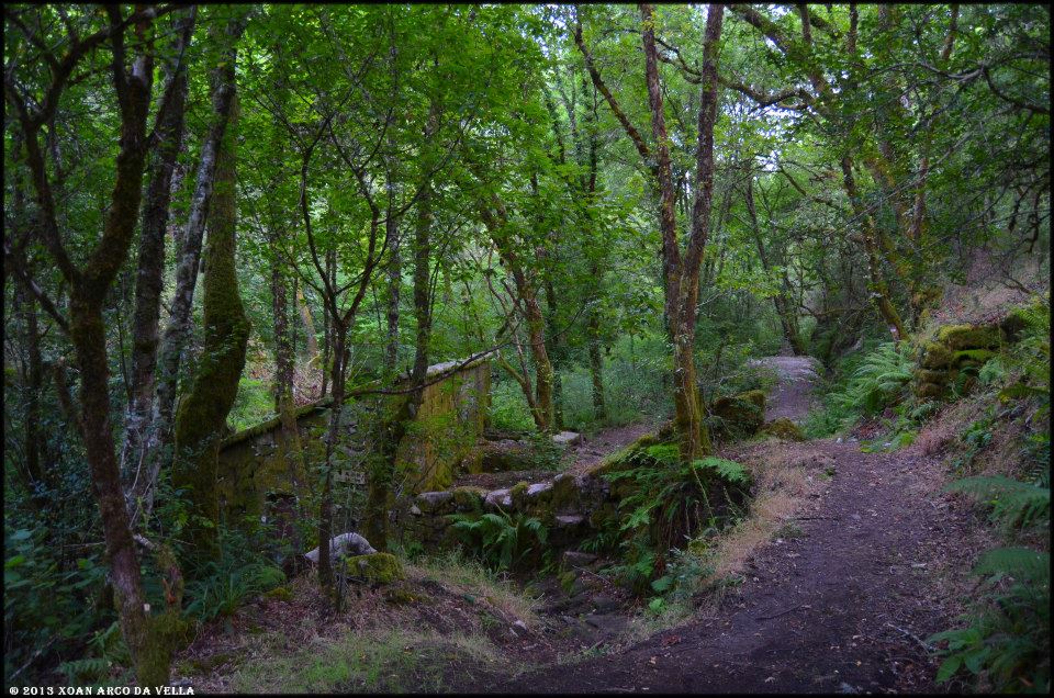 XOAN ARCO DA VELLA: MUIÑO DE BARRAGÁN - RÍO BARRAGÁN
