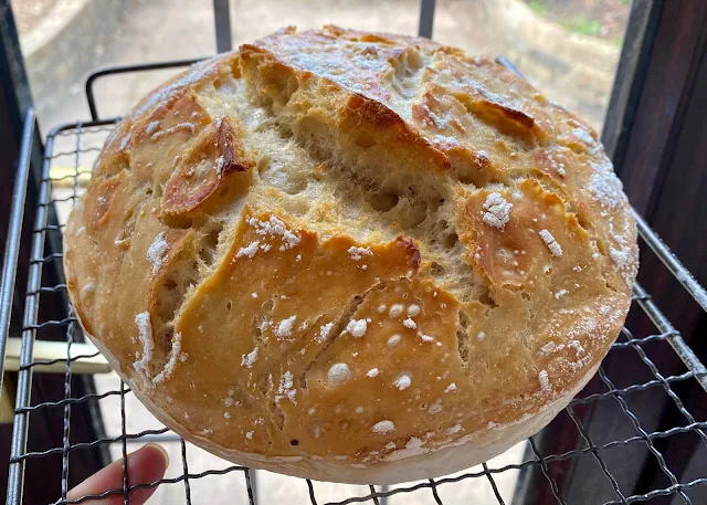 Baking Fundamentals: Bread Making Tips for Beginners - Counting To Ten