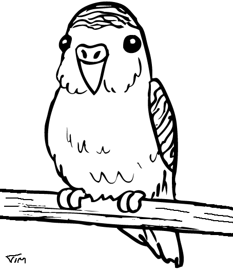 Periquitos para colorear - Imagui