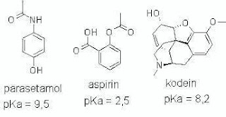 Sekilas Tentang Kodein