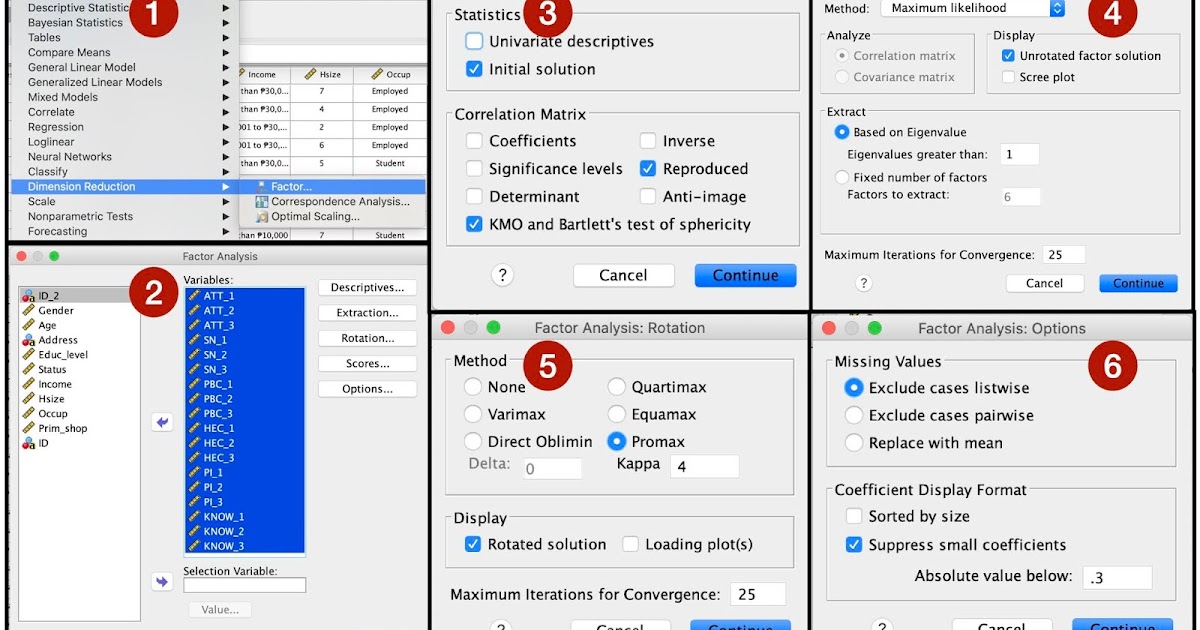 Exploratory Factor Analysis (EFA) in SPSS