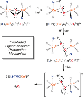 Dioxygen Activation by a Macrocyclic Copper Complex Leads to a Cu2O2 ...