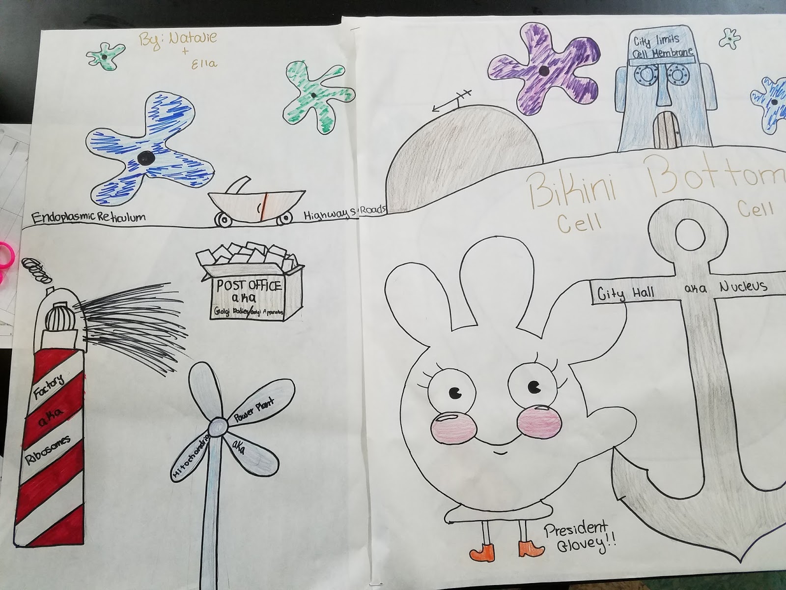 Science Time At Visitation Academy: Cell Cities with the 7th Grade