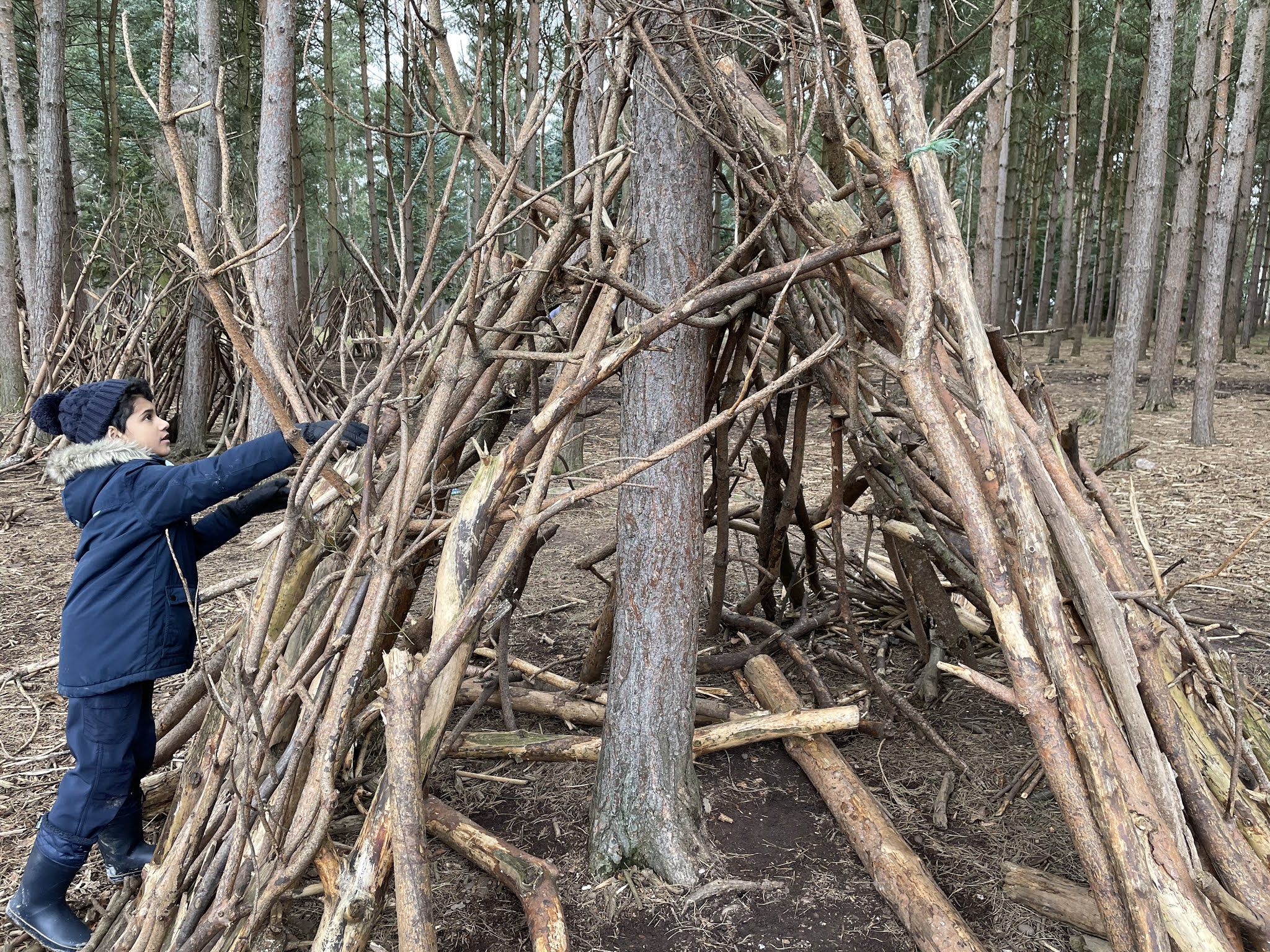 Den Building By Shaan & Roshan