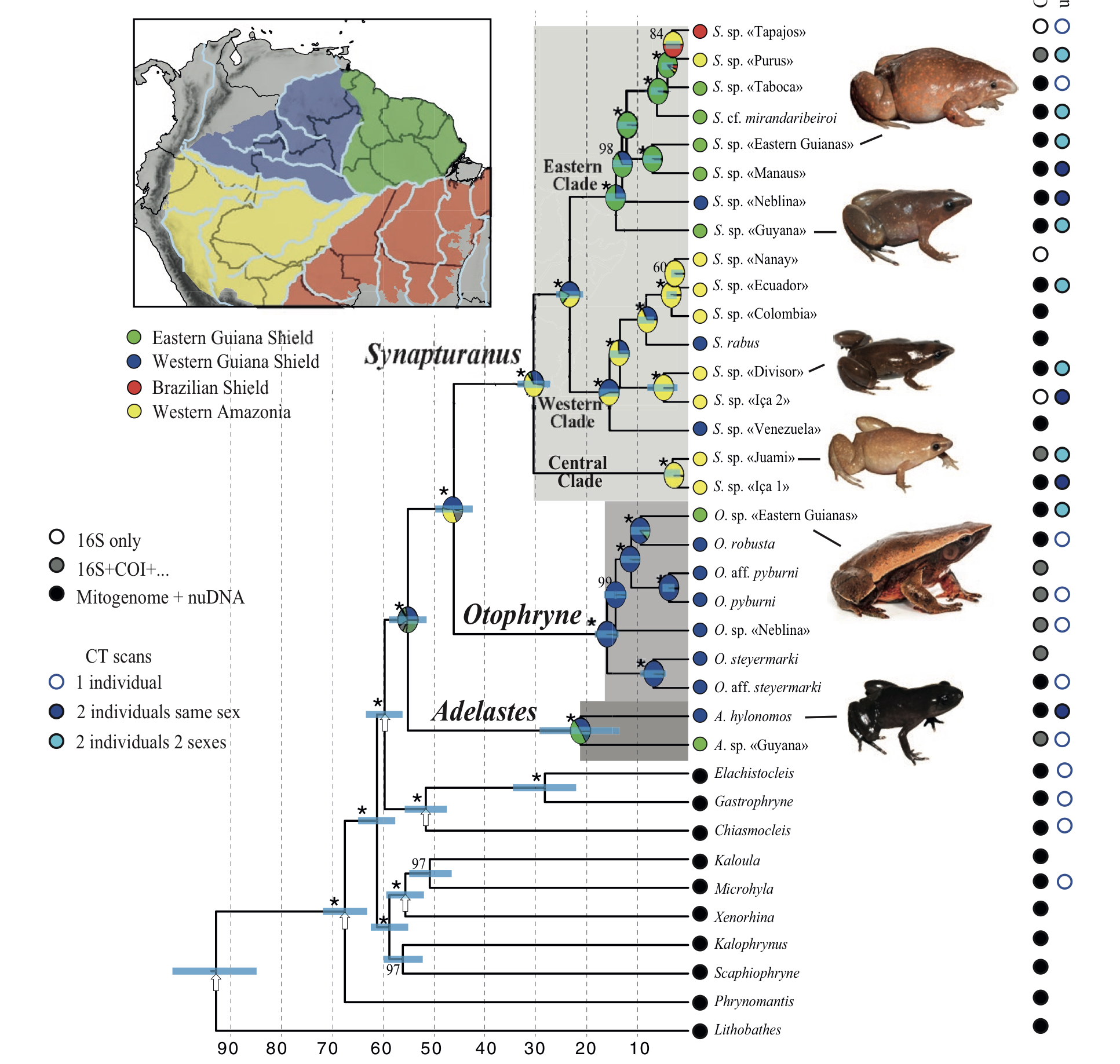 Species New to Science: [Herpetology • 2021] Species Diversity and ...