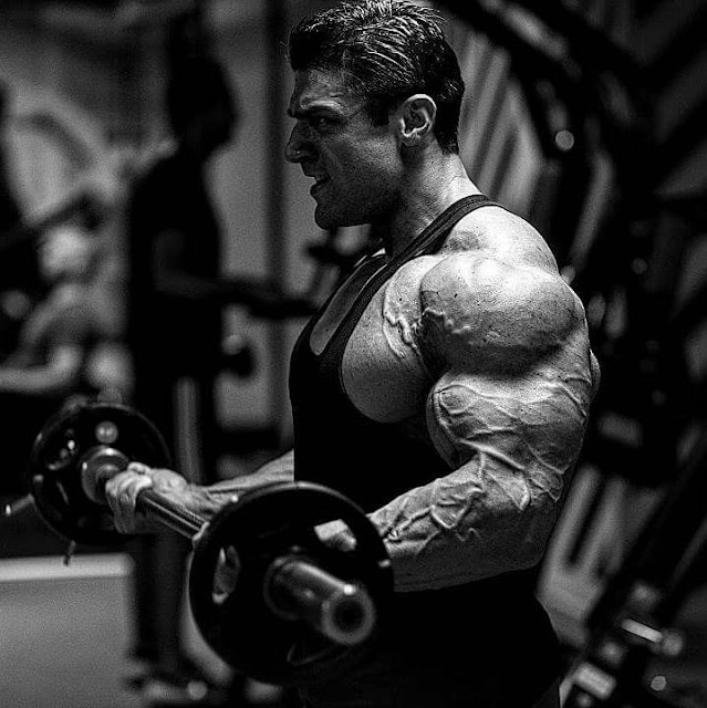 Worldwide Bodybuilders: Turkish mega macho Firat Urun