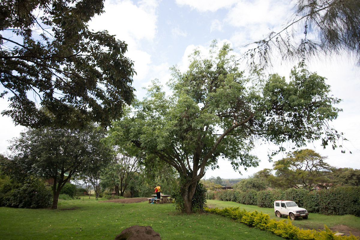 Kenya: Cucu in her element - Elburgon
