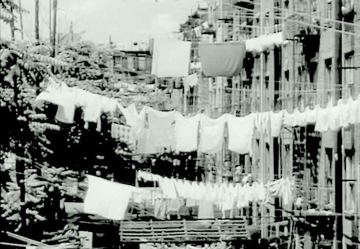 memento: "The window" de Ted Tetzlaff