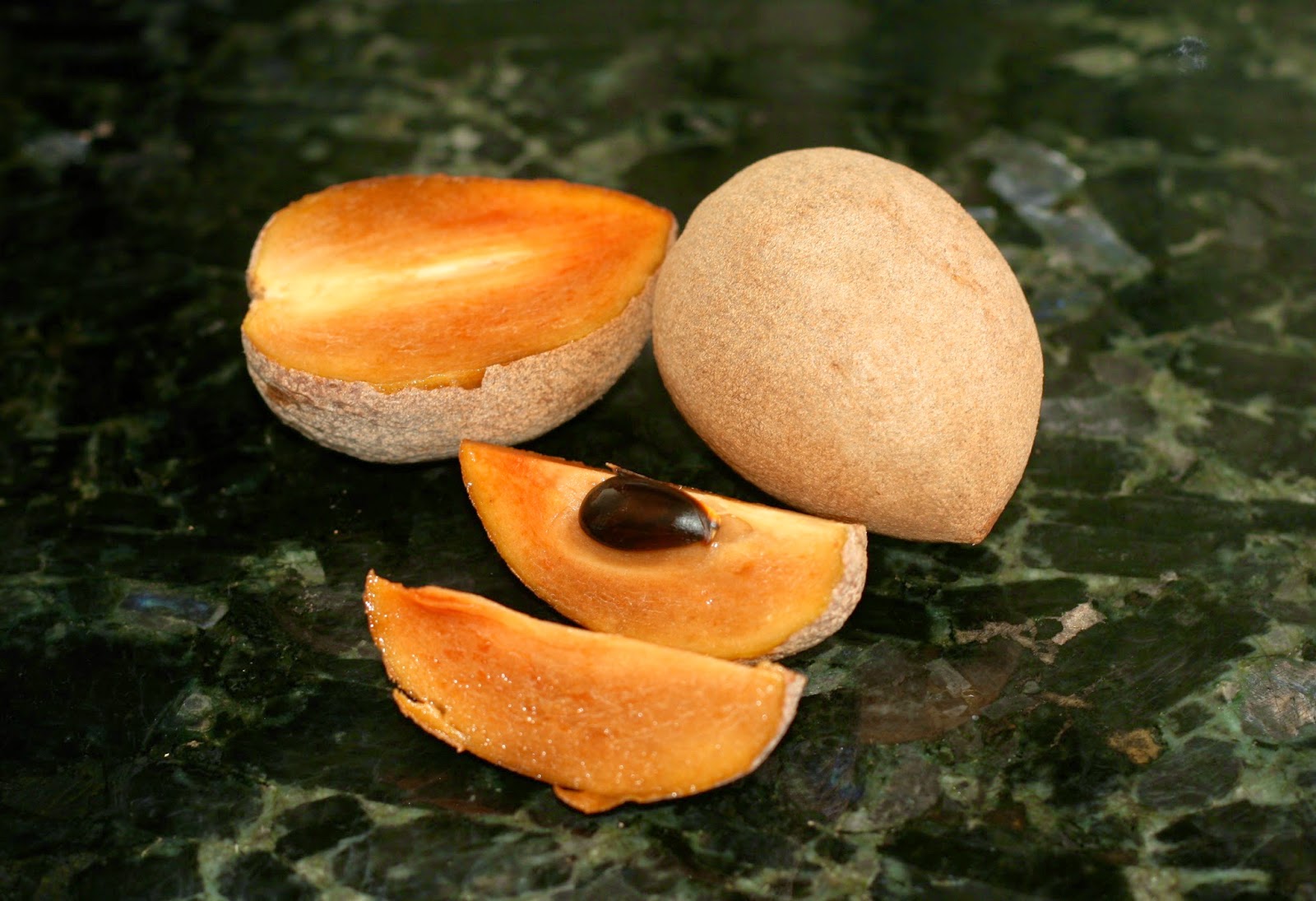 Sulcata Grove: Sapodilla - Ice Cream Recipe