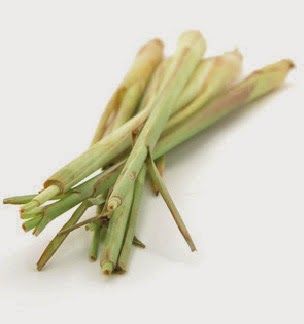 macam macam bumbu dapur dan manfaatnya ~ daun herbal
