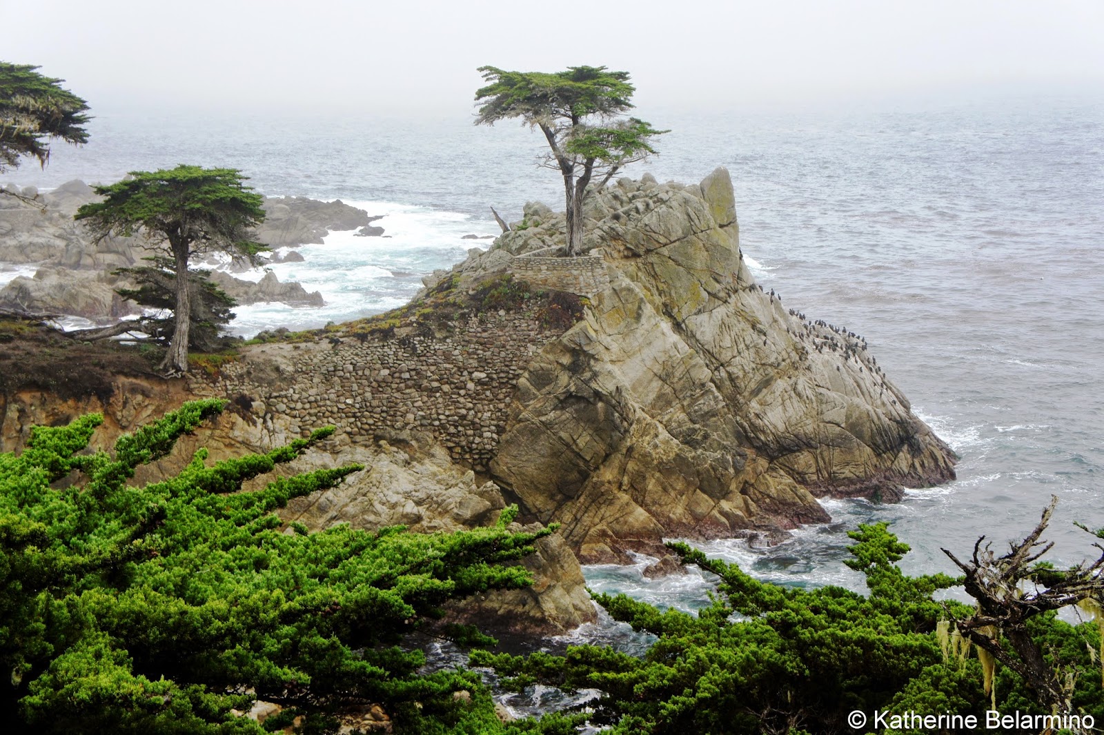 The Scenic 17-Mile Drive of the Monterey Peninsula | Travel the World