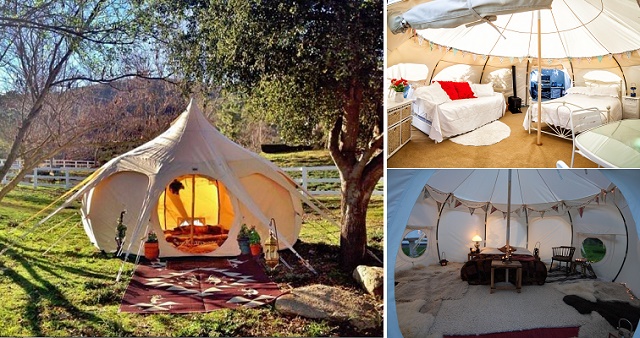 Lotus Belle Luxury Camping Tents - Times of Engineer