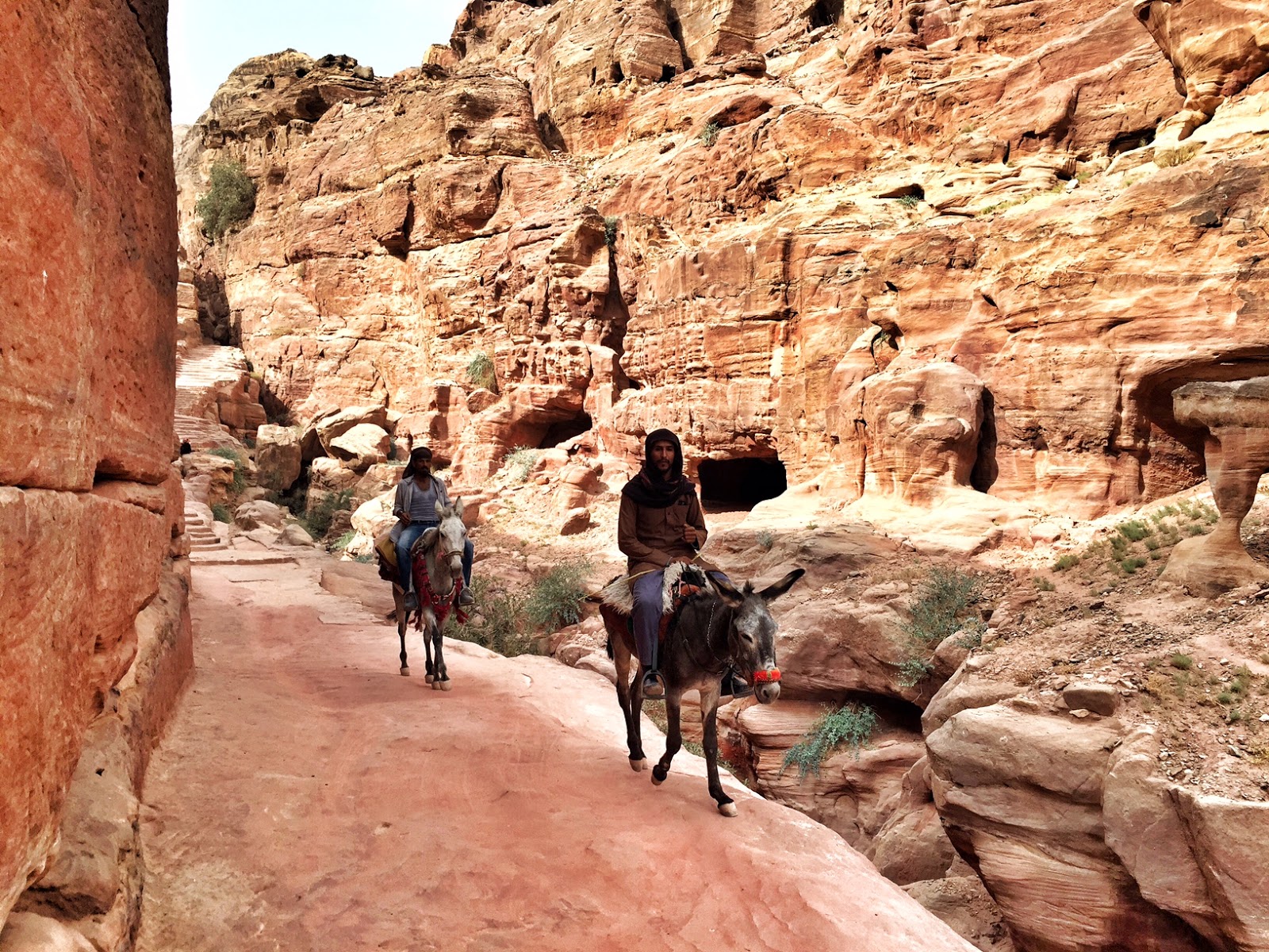 Life of a Bedouin in Jordan - A story of Dreams